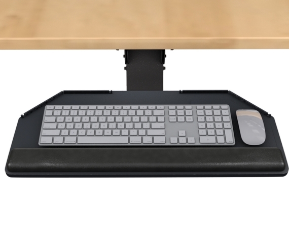 Ergonomic Accessories | The Back School